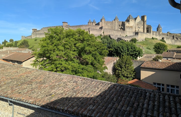 Le Petit Barbacane - Carcasona