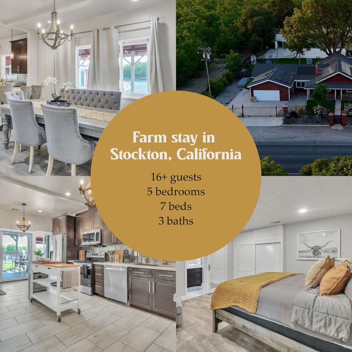 Luxury Ranch: Pool, Wineries, Orchards And Events - Stockton, CA