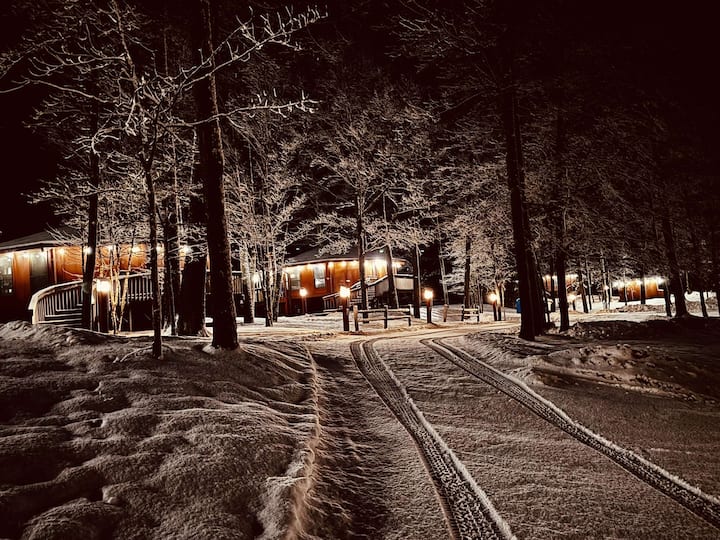 Winter Wonderland- Cabin On Snowmobile Trails - Eagle River, WI