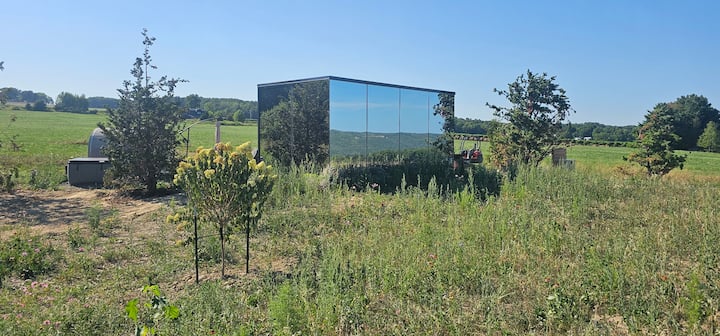 Tiny Vineyard Mirror House With Sauna & Hot Tub - Finger Lakes, NY