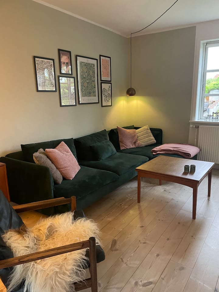 Smuk Villa I Odense V - Odense