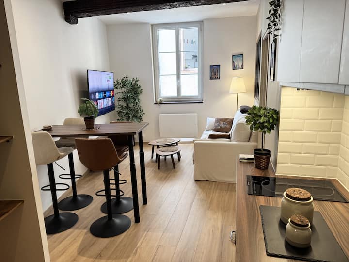 Appartement Puits-clos - Quartier Capitole - Toulouse