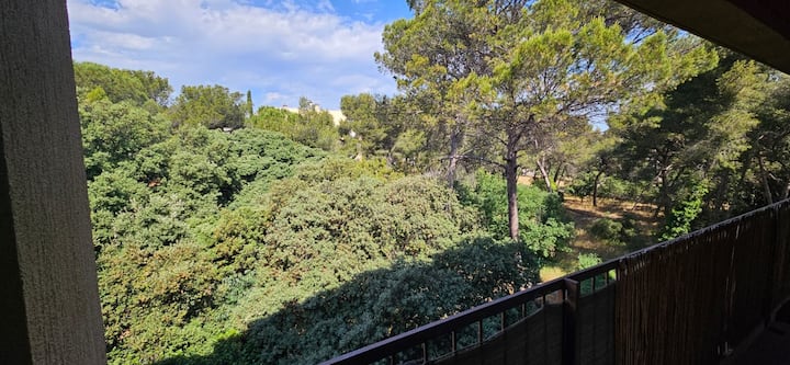 Appartement Familial - Istres - Fos-sur-Mer