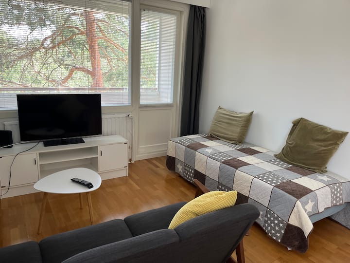 Spacious Accommodation In Turku - Turku