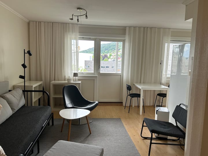 Solvendt Leilighet Med Terrasse. - Bergen, Norwegen