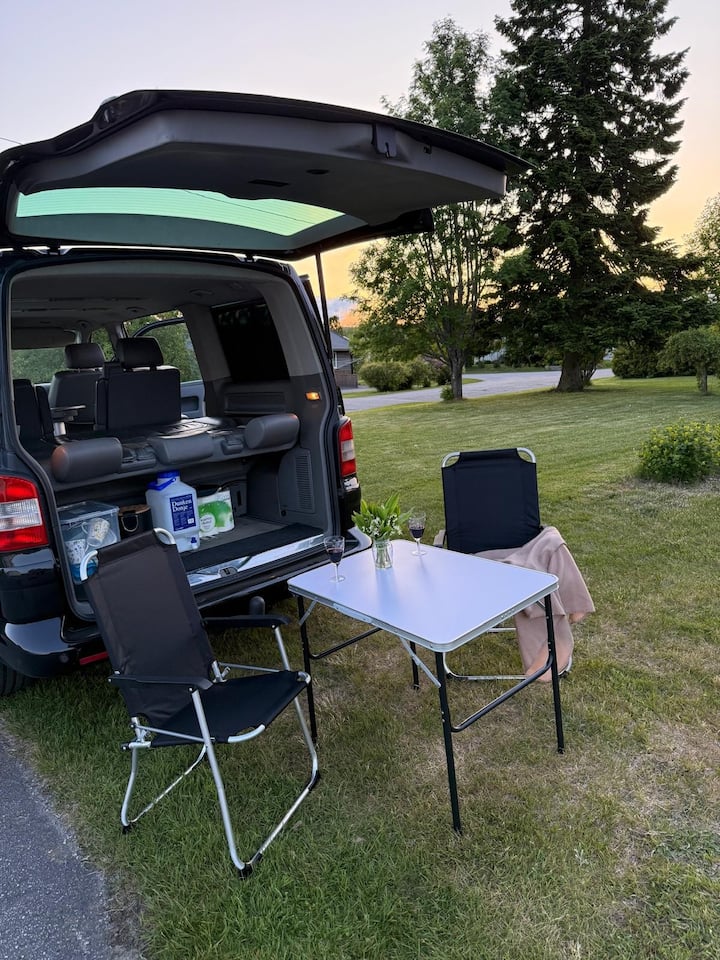 "Black Lemon" - Stange