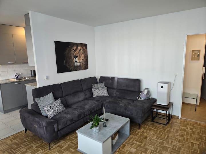 Helle 3-zi-stadtwohnung Im Herzen Von Basel - Bâle