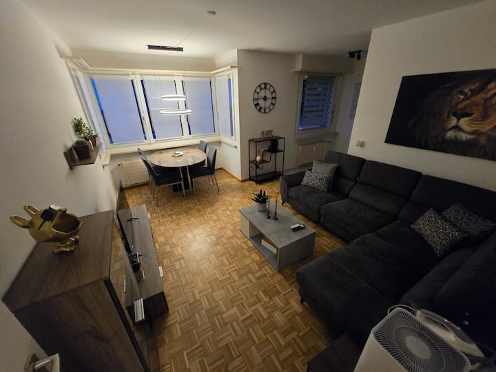 Zentrale 3-zi-wohnung In Basel - Basel