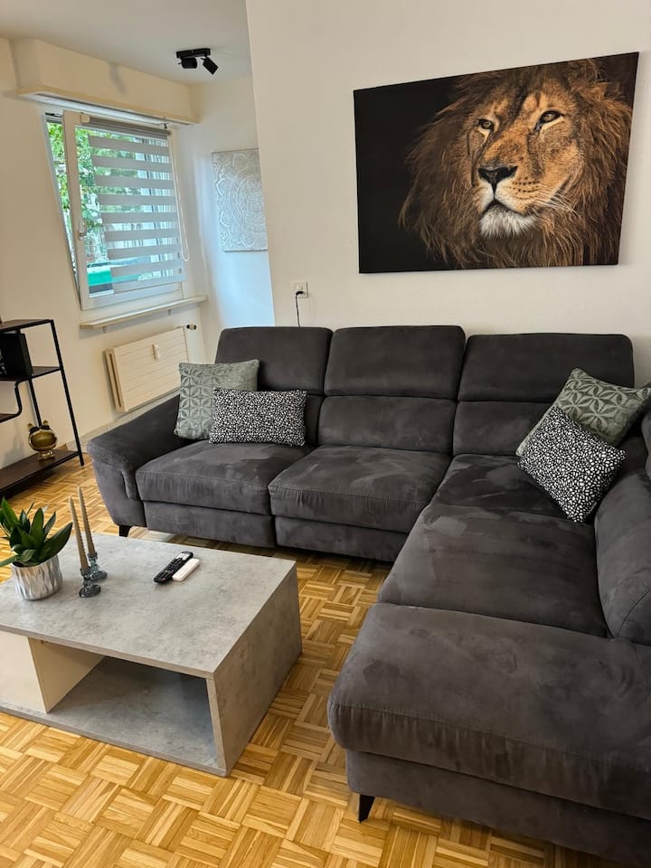 Helle 3-zi-stadtwohnung Im Herzen Von Basel - Basel