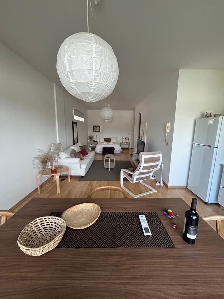 Amplio Y Luminoso Mono Ambiente - Argentina