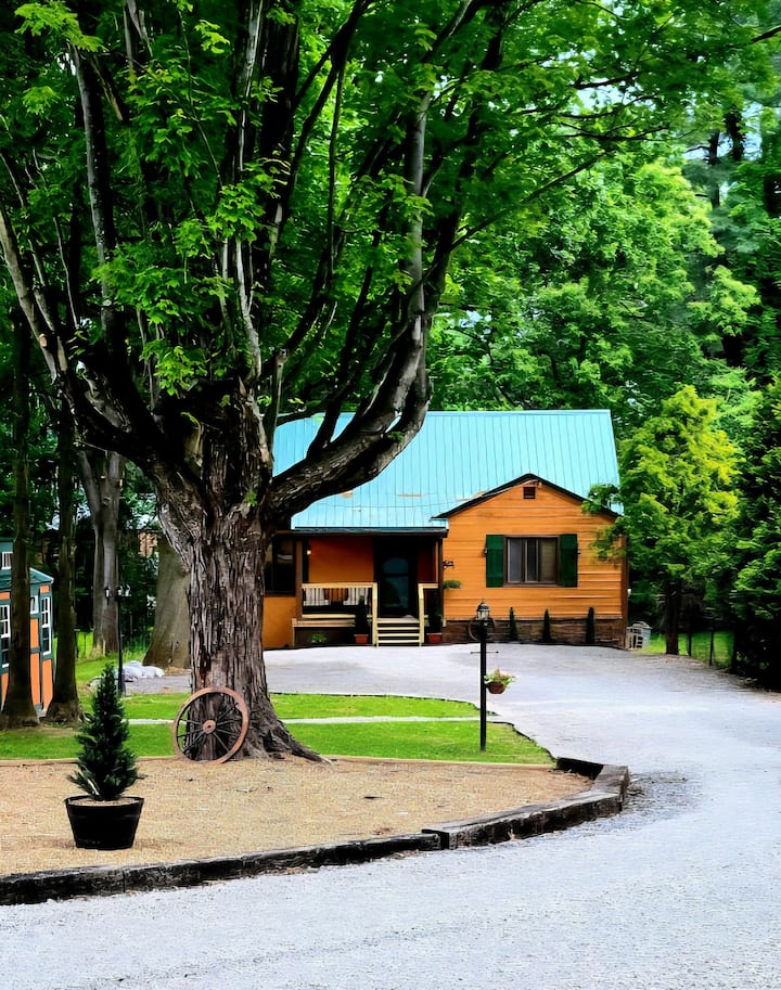 Windy Oaks Cabin | Near Pittsburgh Nfl Draft - Pensilvania