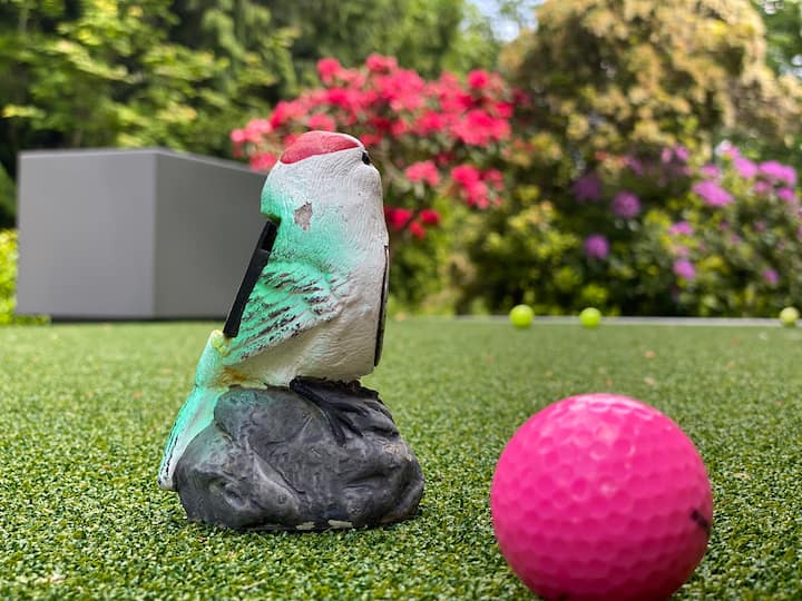 Fifa Fan Hideaway-one Bedroom Metrotown Deer Lake - Burnaby