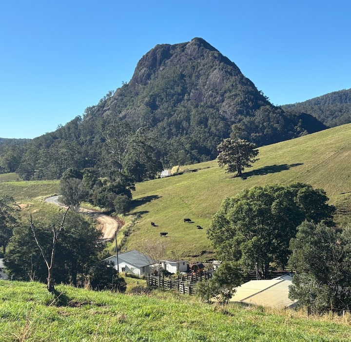 Caldera Creek Cottage - Nightcap National Park