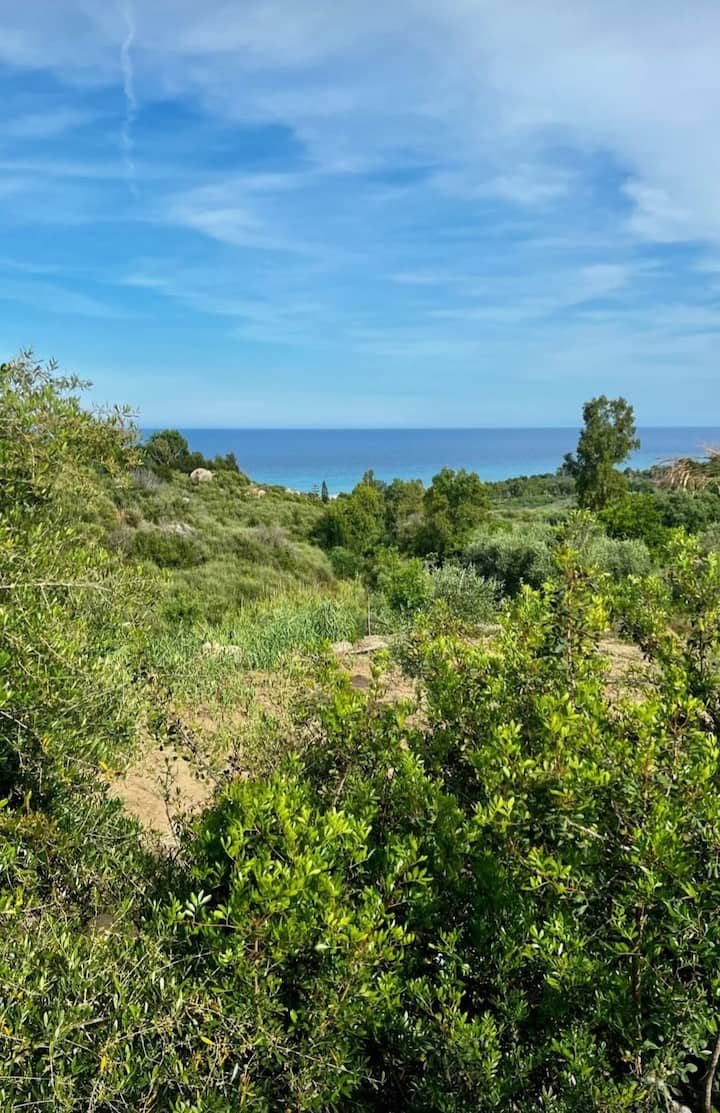 Casa A 300 Metri Dal Mare - Girasole