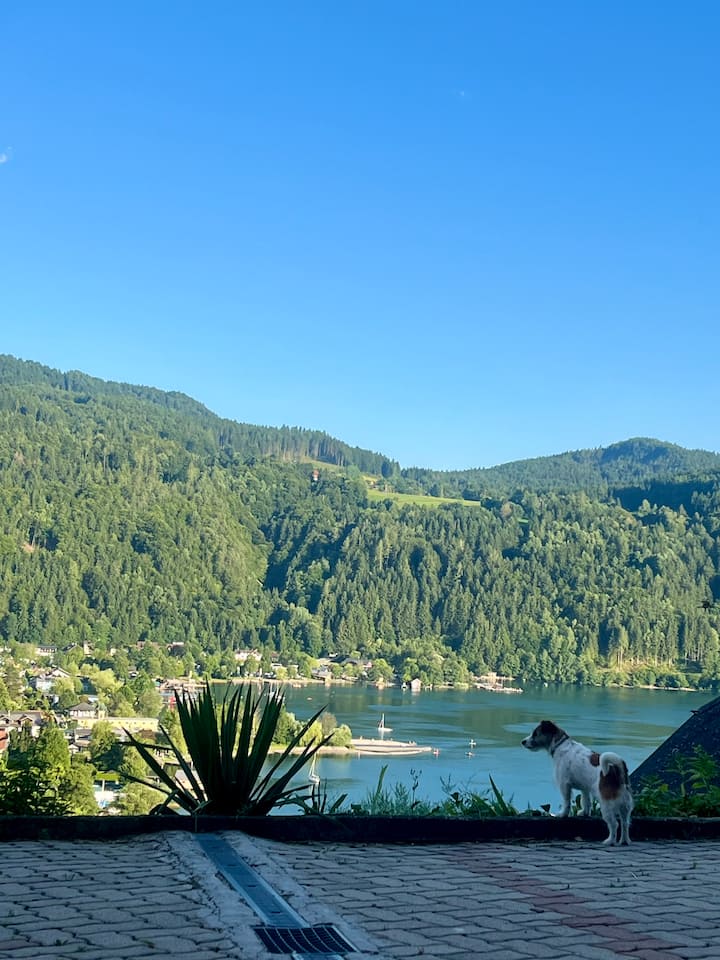 Holiday Apartment With View Of The Millstätter See - Karinthië