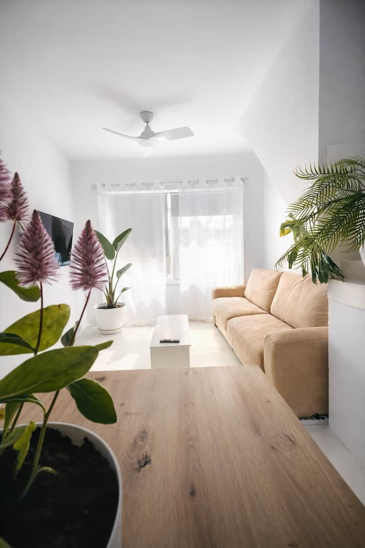 Mini Casa De Lujo - San Juan Playa