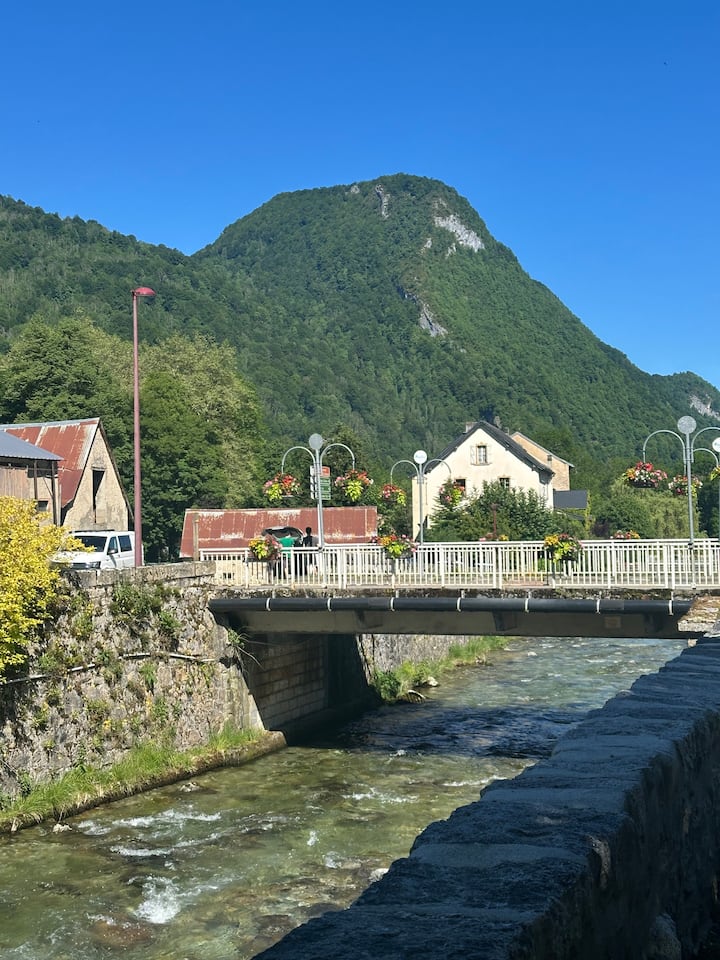 Appartement T3 - 6/8 Couchages - Aulus-les-Bains