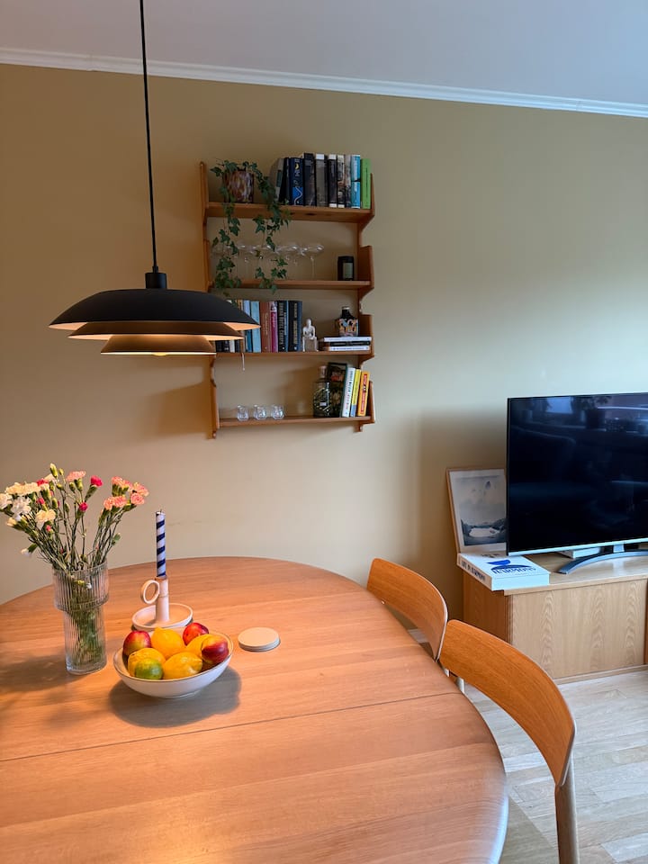 Apartment Close To City Center - Oslo