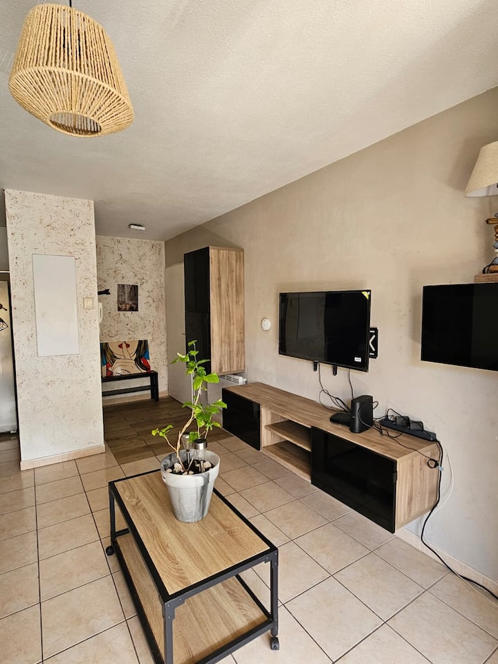 Magnifique F4 - Montpellier