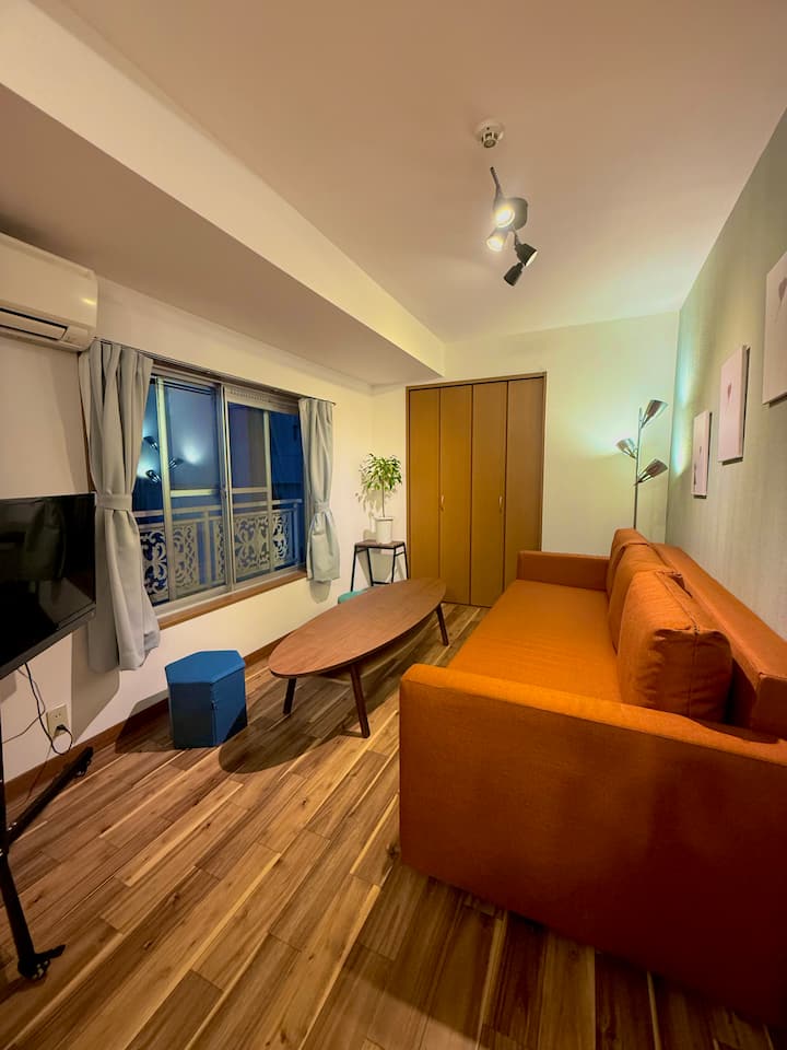 Tokyo/directement Relié à L'aéroport De Narita - 松戸市