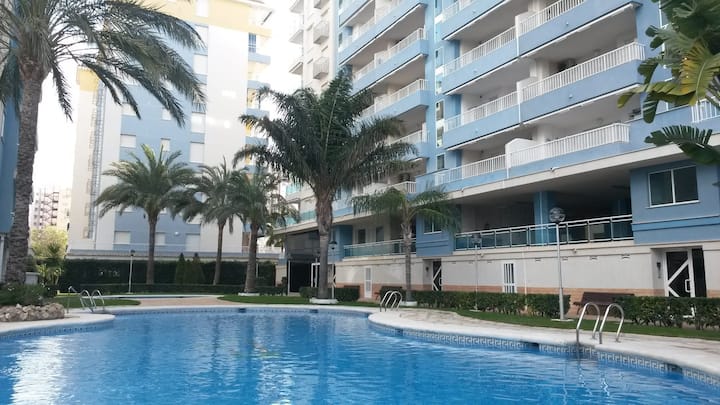 Palmeras Iii - Gandía