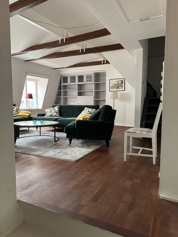 Old Town Flat With A View - Stockholm