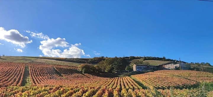 Le Qg | Appartement 2–4 Pers, Calme, Vignes - Fleurie