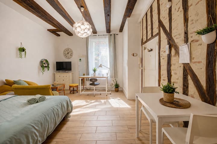 Havre De Paix – Vieux Tours, Jardin, Parking Vélo - Tours