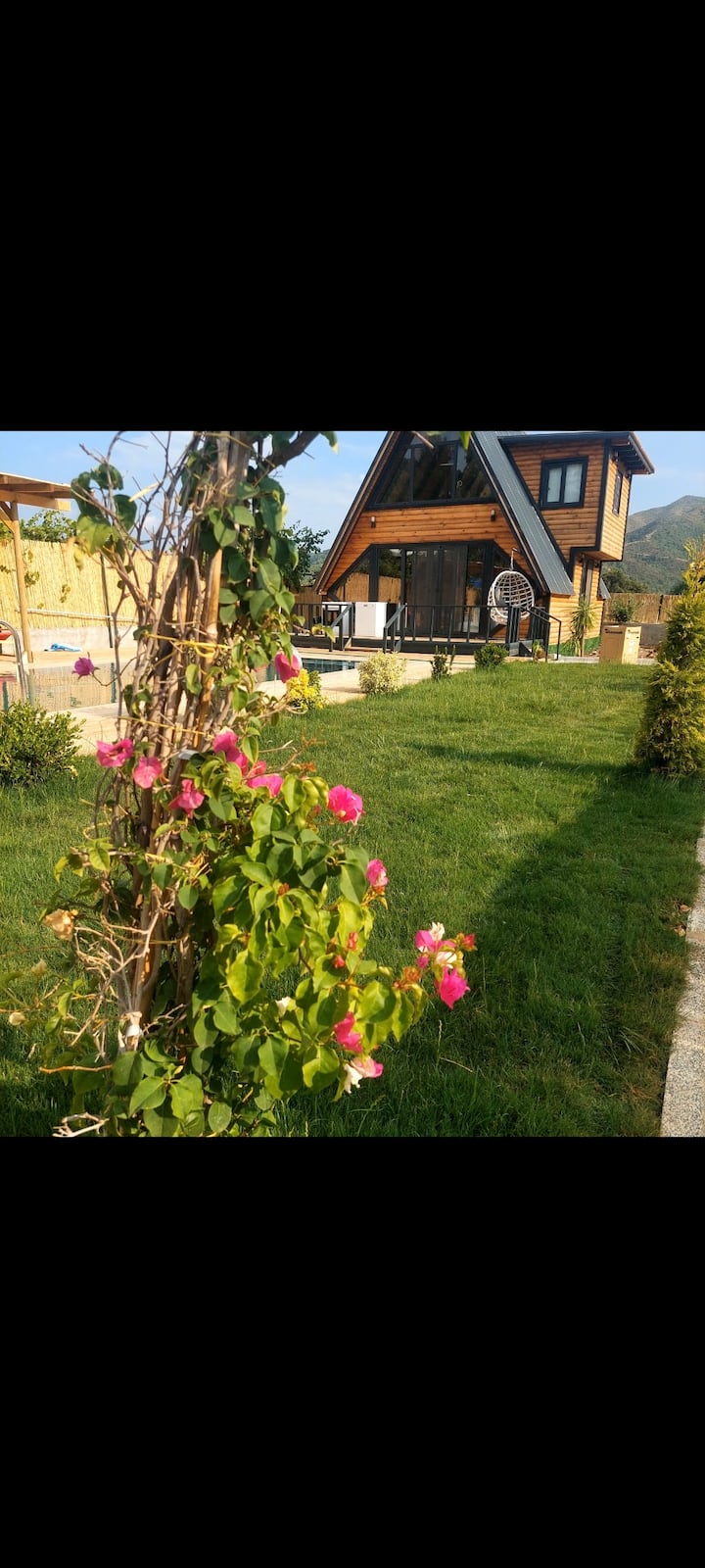 Ailerveçiftler Için Eşsizbungolo - マルマリス
