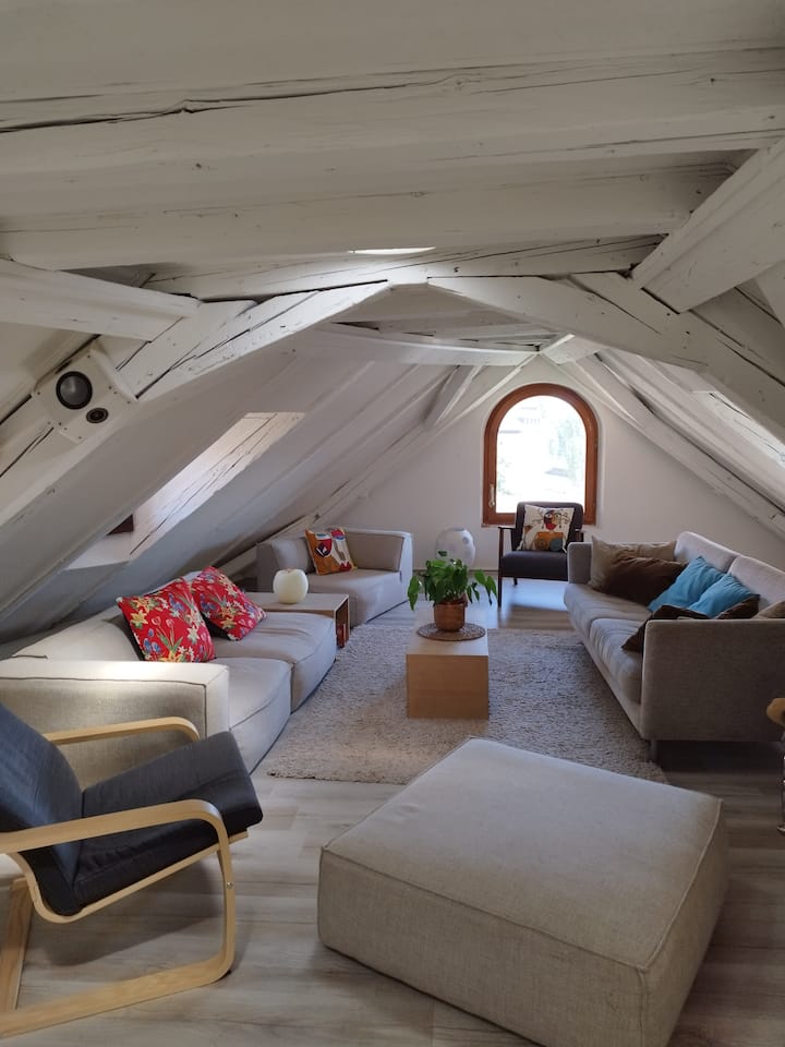 Le Cocoon De Sofy - Strasbourg