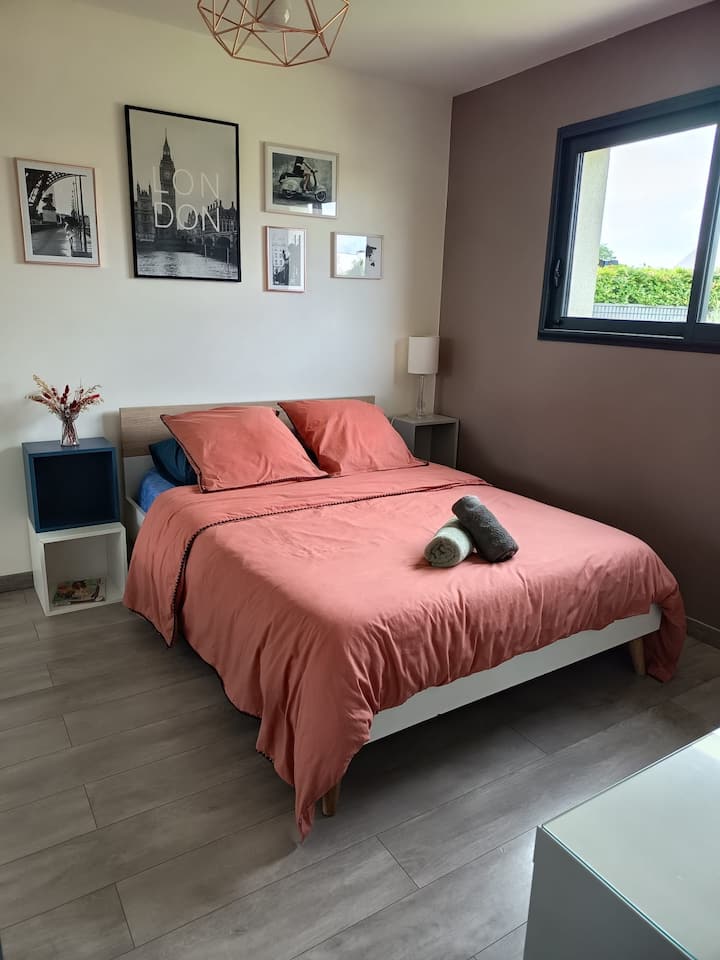 Chambre, Salle De Bains Et Toilettes Privés - Rouen