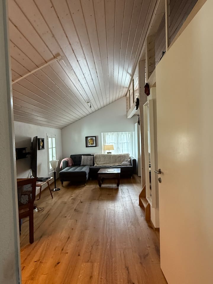 Bardi‘s Apartment - Zúrich