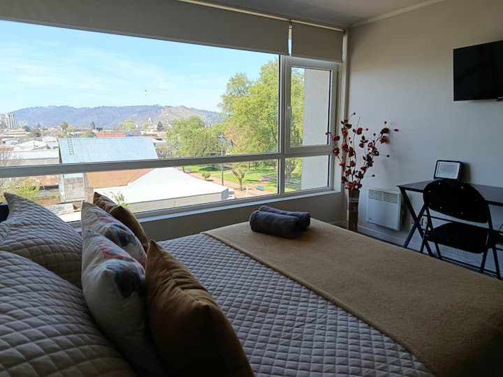 Home Studio - Temuco