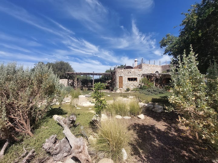 The Wild Garden • Nature Lodge In Sidi Kaouki - Sidi Kaouki