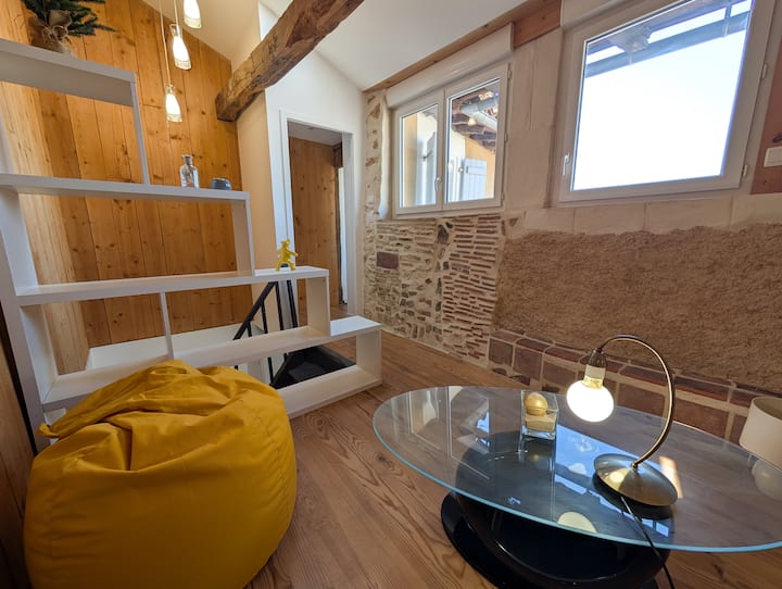 Maison Au Cœur D'auch - Auch