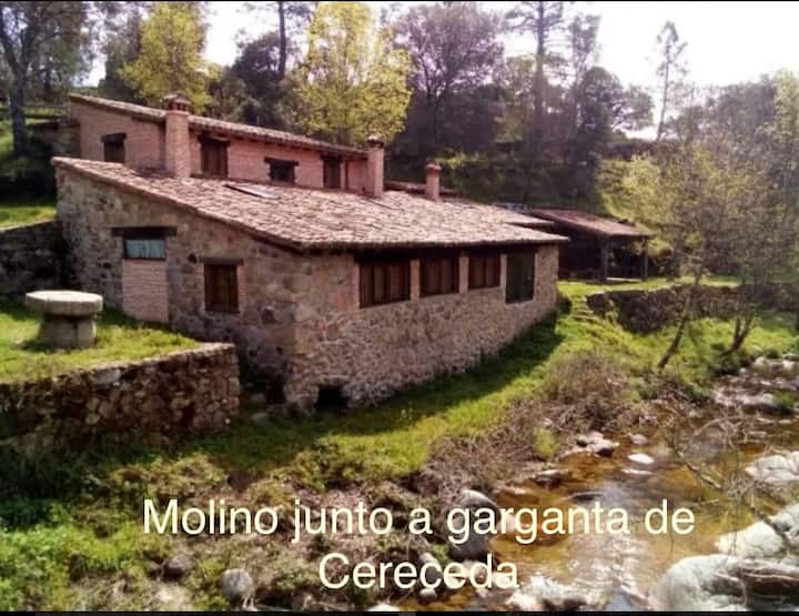 Molino C S. I. - Mijares