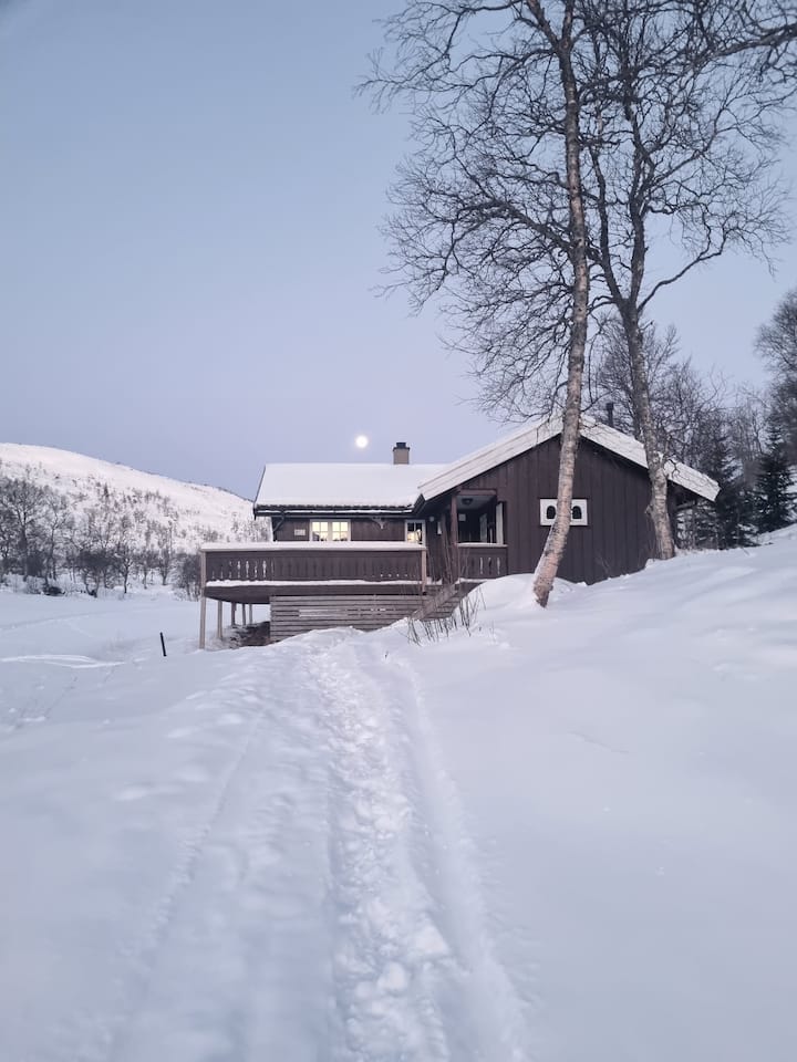 Cosy Mountain Hut. - Haukeli