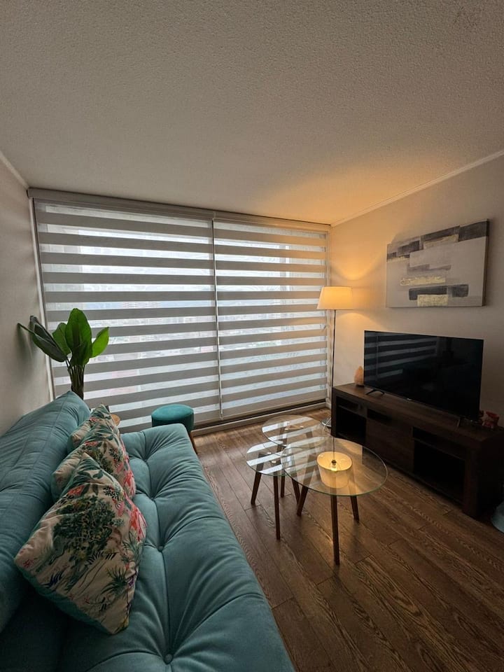 Moderno Y Acogedor Departamento En Concepción. - Concepción