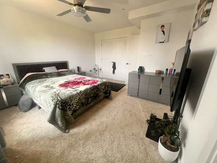 Private Room For Professionals - Frederick, MD