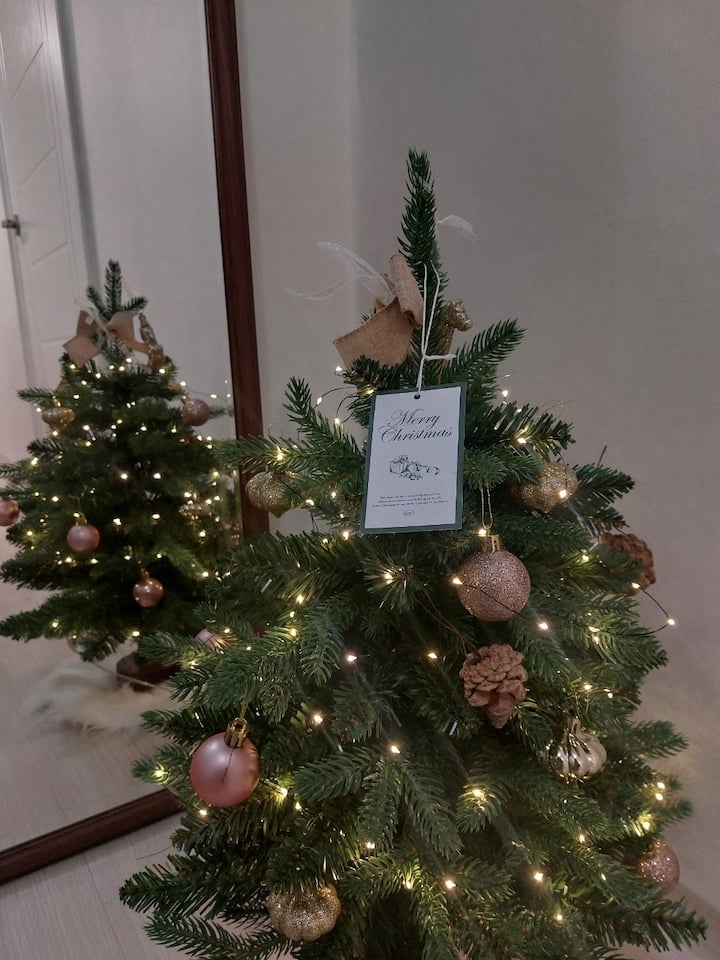 [안녕, 천호] 천호역15분/1층 2룸/잠실/kspo/올림픽공원/jyp/아산병원/롯데타워 - 미사1동