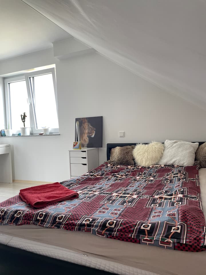 Entspanntes Zimmer An Der Mosel In Trier - Trier