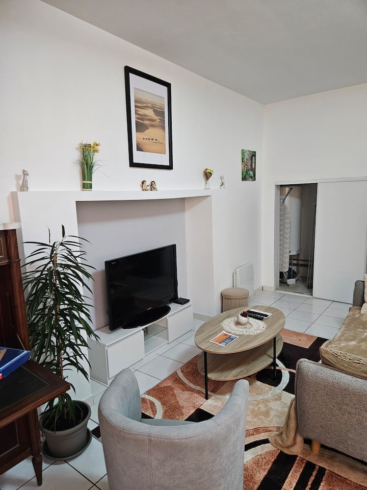 Appartement T3 De Standing - Oloron-Sainte-Marie