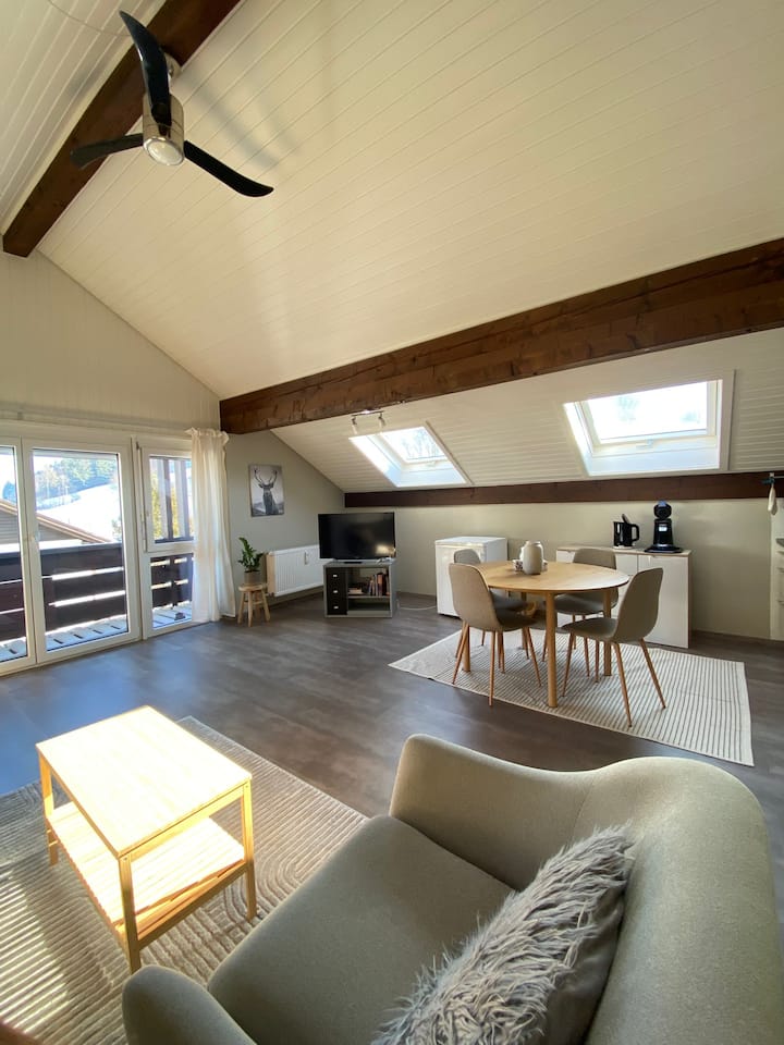 Ruhige, Moderne Fewo - Wandern, Rad Und Ski - Buchenberg