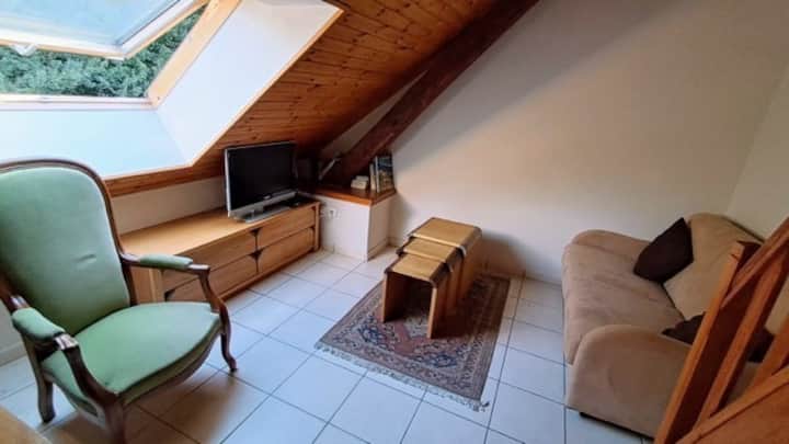 Appartement 69m² Rochetaillée - Le Bourg D'oisans - Villard-Reculas