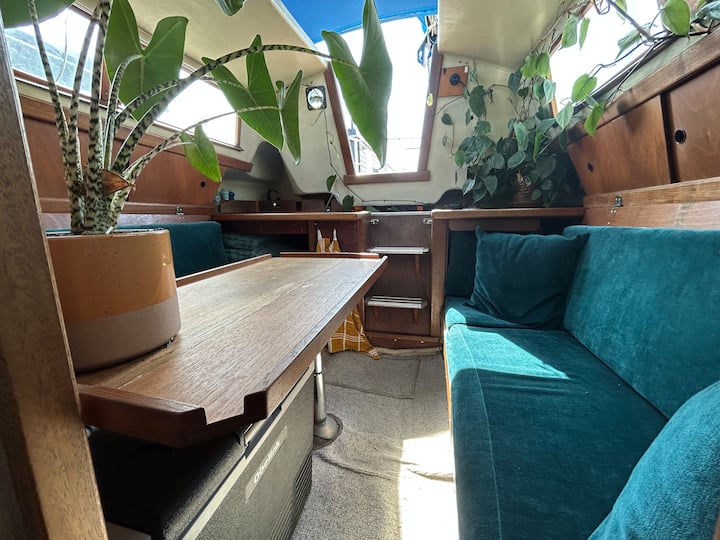 Charming Floating Tiny Home - Amsterdam