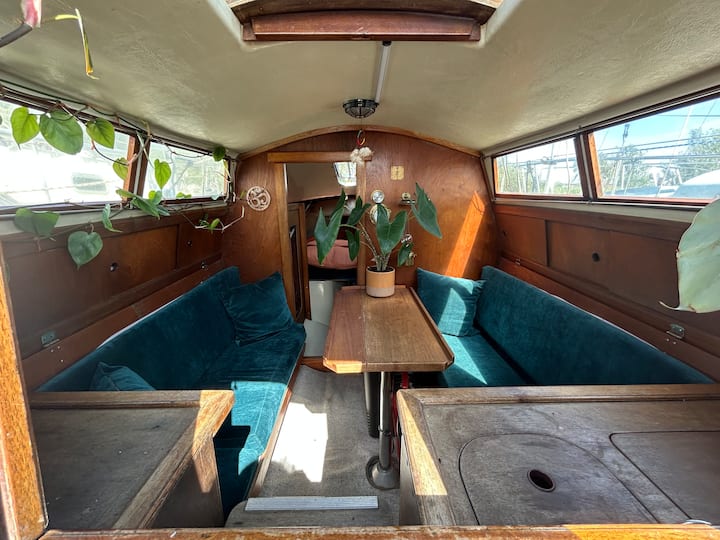 Charming Floating Tiny Home – Peaceful & Unique - Amsterdam