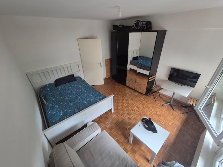 Grande Chambre - Geneva