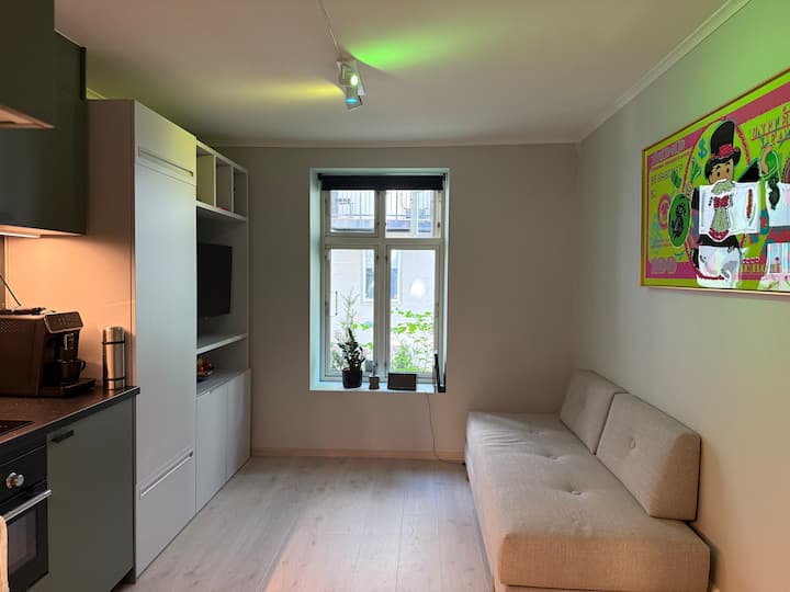 Functional Cozy And Quiet Studio - Oslo