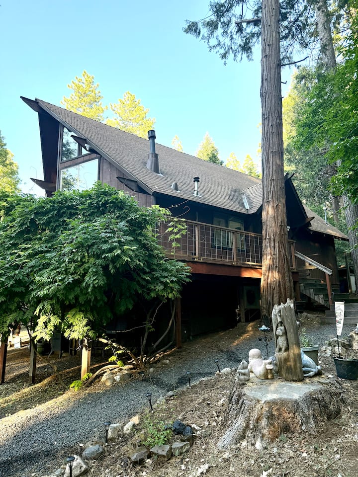 Private Mountain Cabin - Pet Friendly - Twain Harte, CA