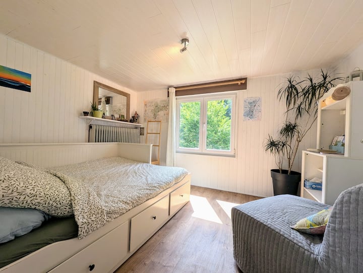 La Chambre De L’écureuil Roux - Bitche